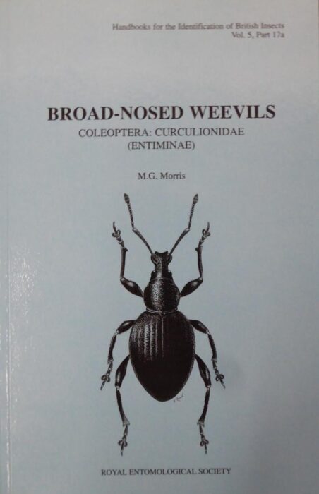 Broad-nosed Weevils. Coleoptera: Curculionidae (Entiminae) - Royal ...