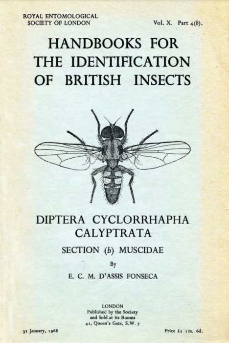 Diptera - Cyclorrhapha Calyptrata, Section (b) Muscidae. - Royal ...