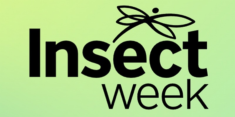Insect Week 2023 - Royal Entomological Society