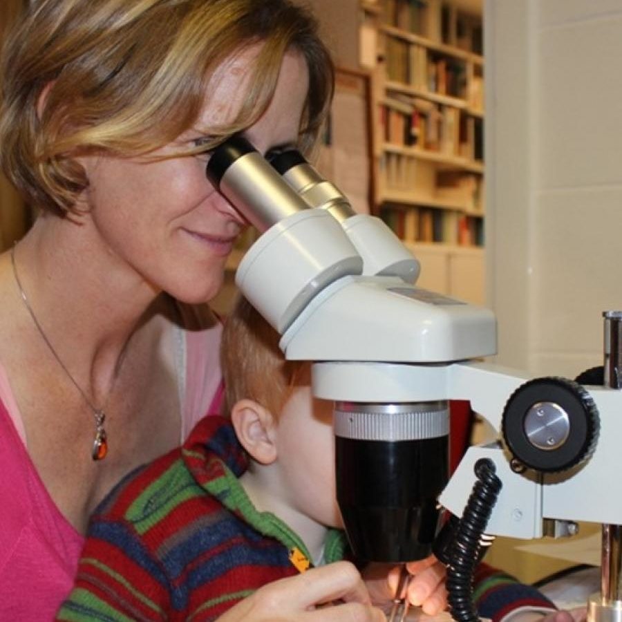 Professor Seirian Sumner FRES - Royal Entomological Society