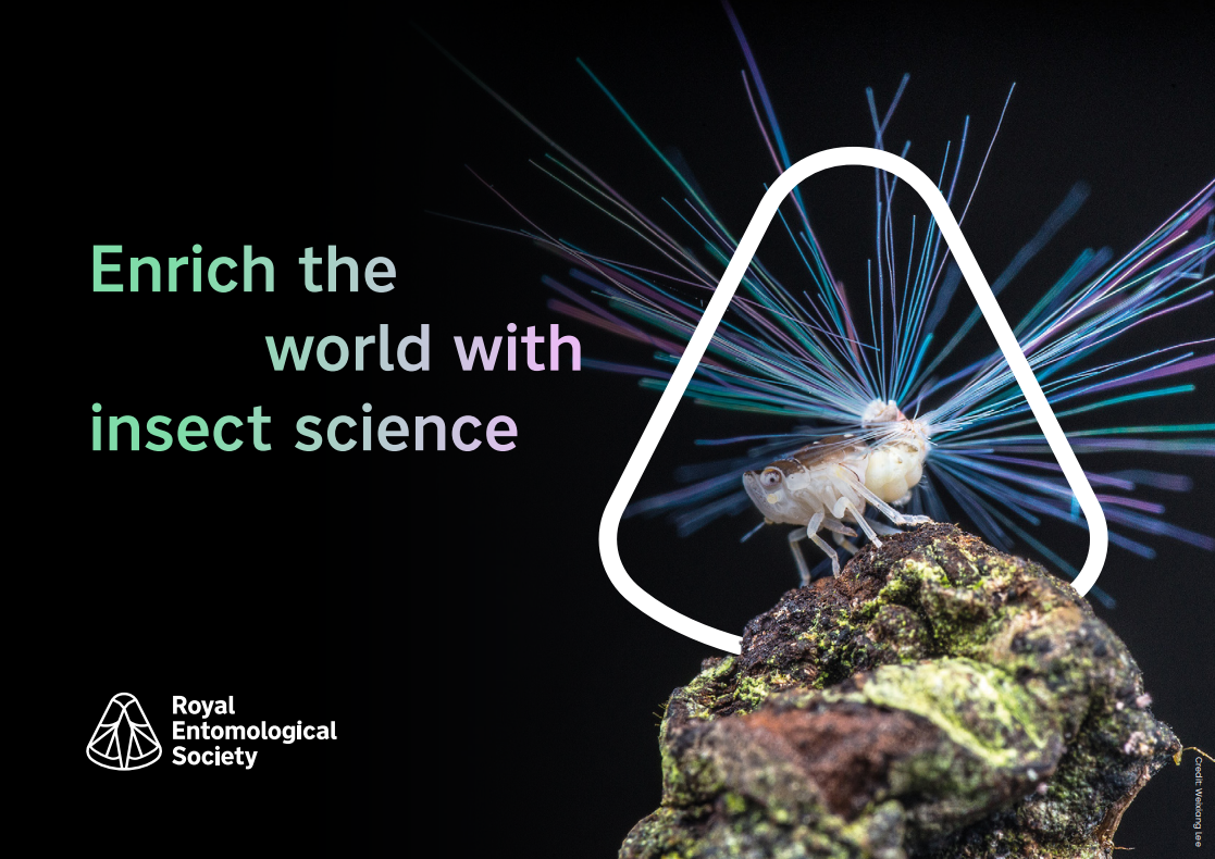 Student Award 2021 results - Royal Entomological Society