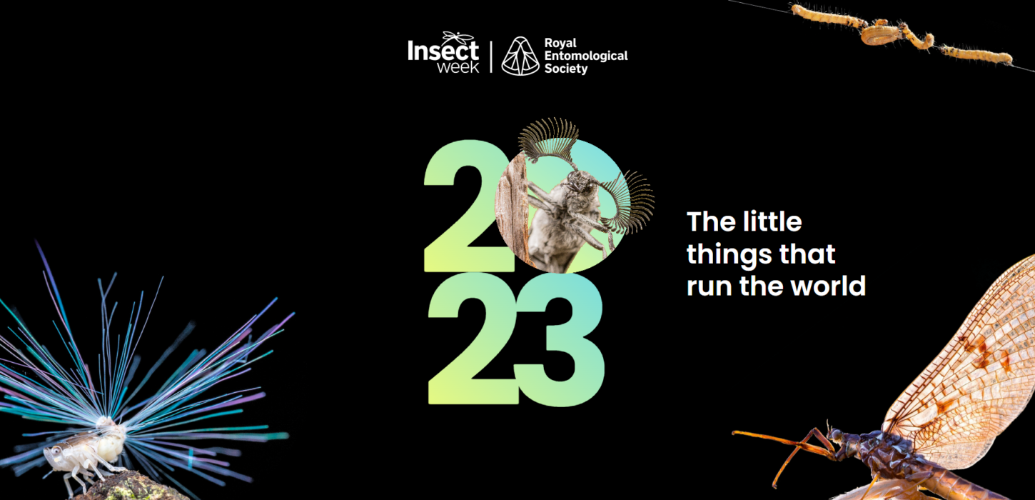 Insect Week 2023 - Royal Entomological Society