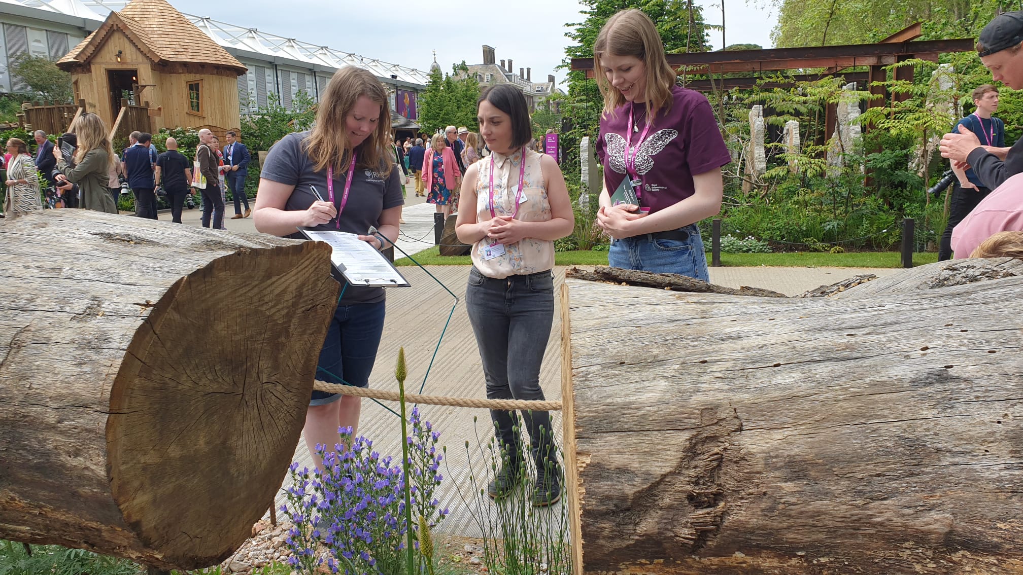 Scientists to monitor pollinators in RHS Chelsea Flower Show first ...
