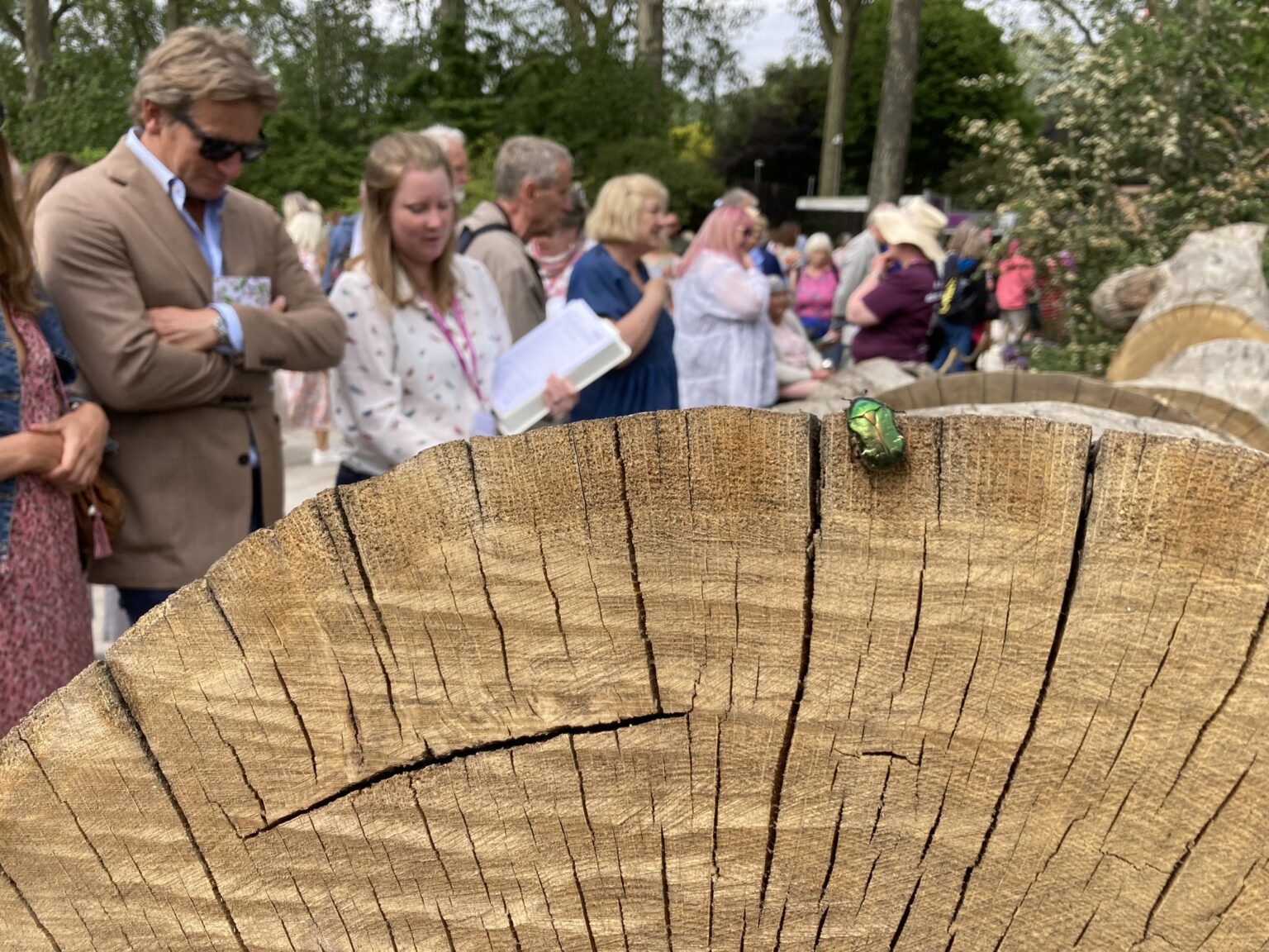 Insect Week - Royal Entomological Society
