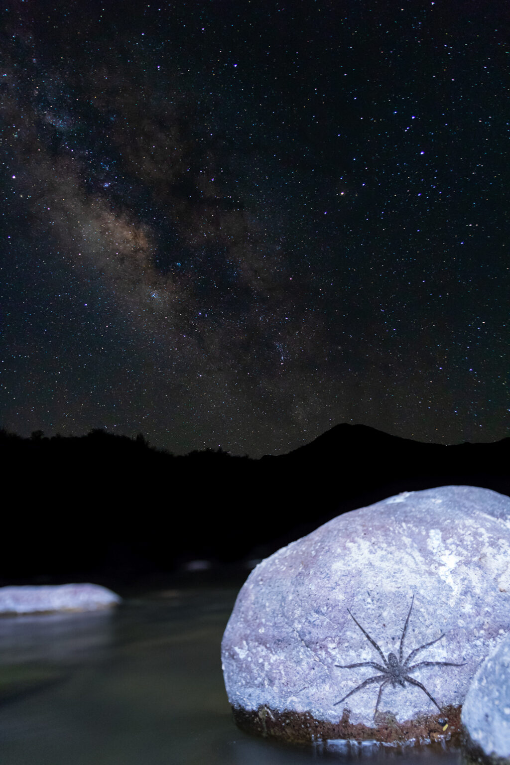 Ento - our annual flagship event - Royal Entomological Society