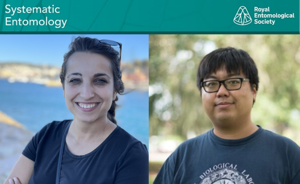 Online Talk: Evolving Perspectives in Hymenoptera Systematics - Royal ...