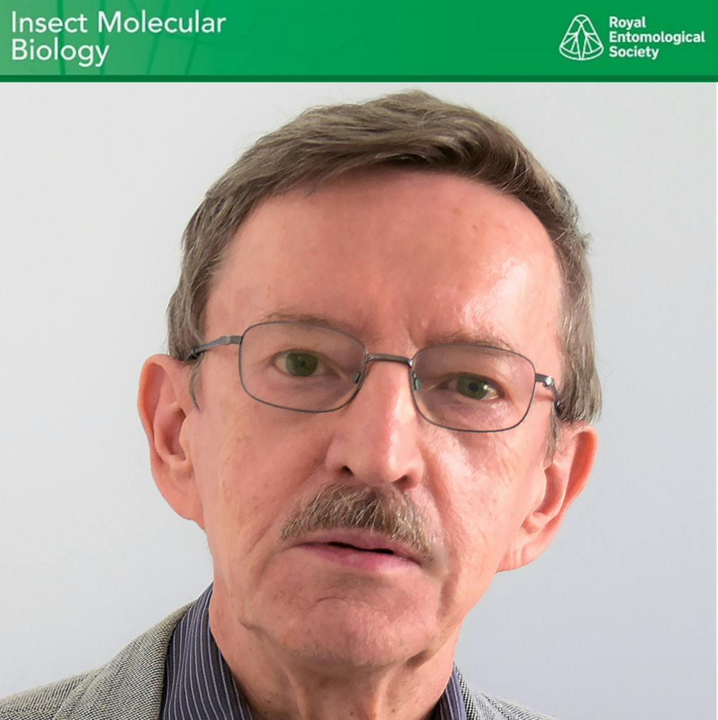 Online Talk - Insect epigenetics: challenges and dilemmas - Royal ...