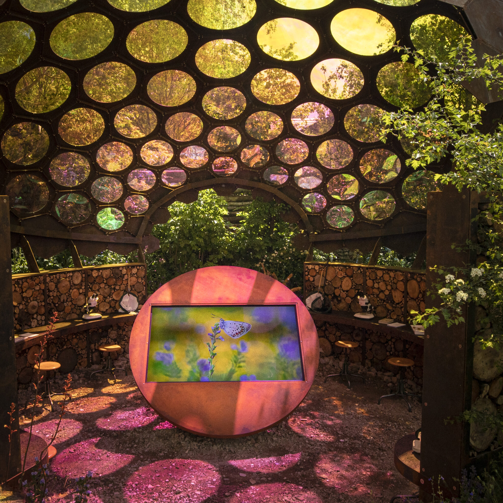 The Royal Entomological Society Insect Garden - Royal Entomological Society