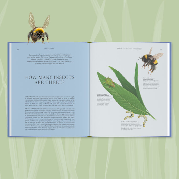 RES Insects: Discover the Science and Secrets Behind the World of ...