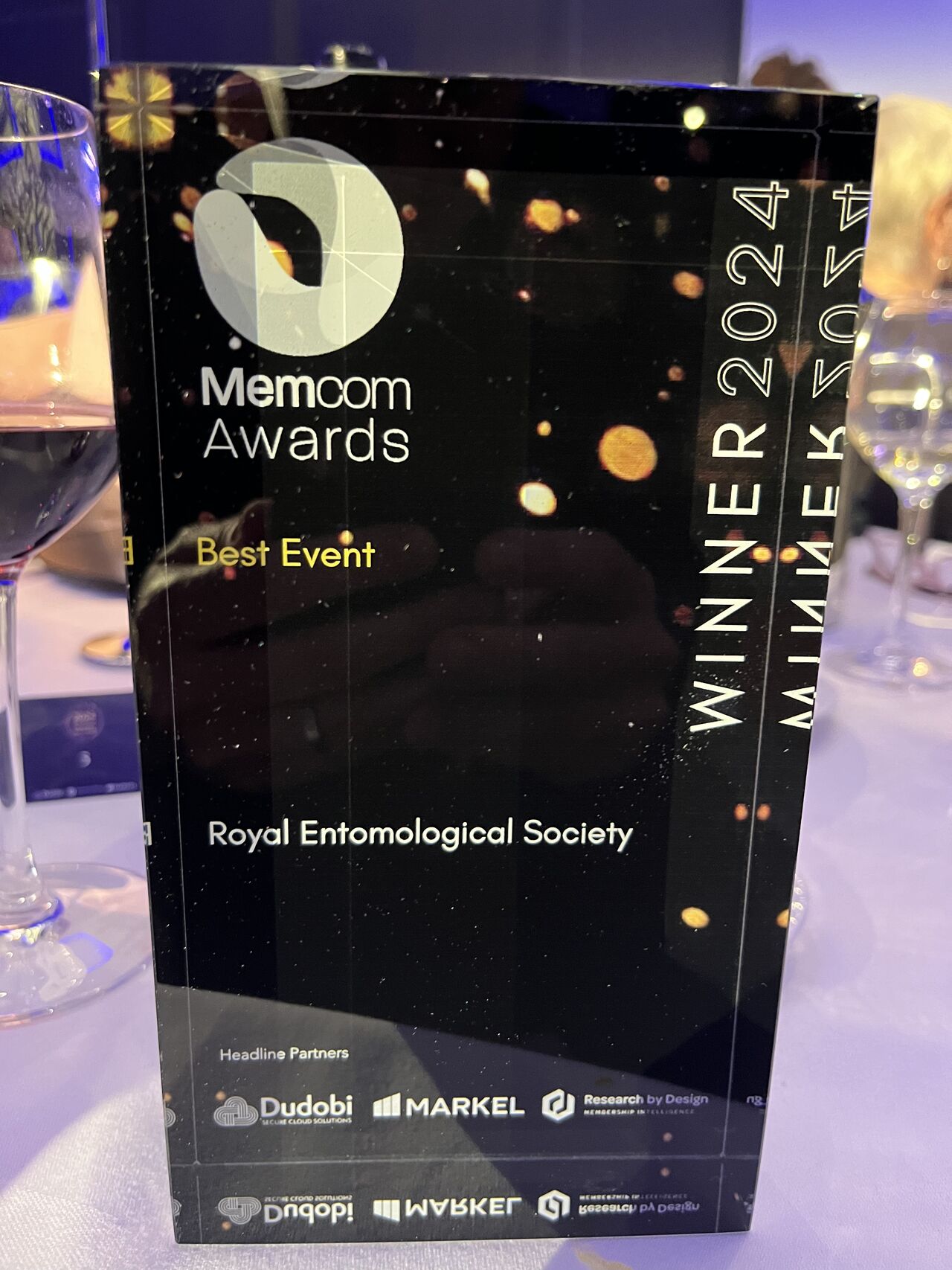 RES wins Best Event in 2024 MemCom Excellence Awards - Royal ...