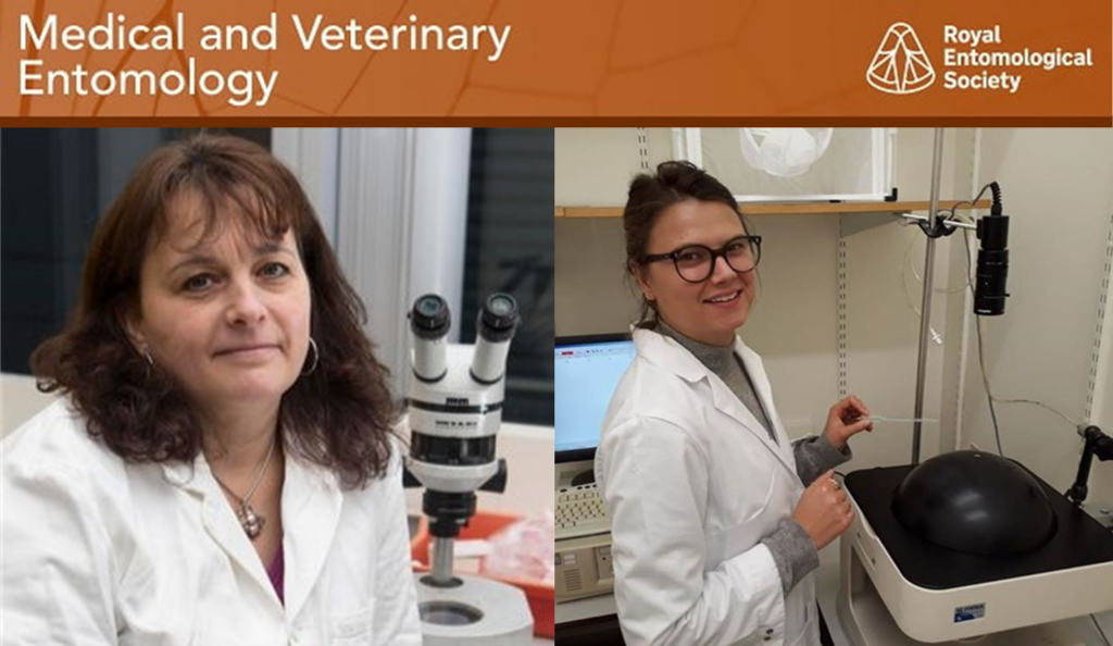 Online Talk - Medical and Veterinary Entomology - Royal Entomological ...