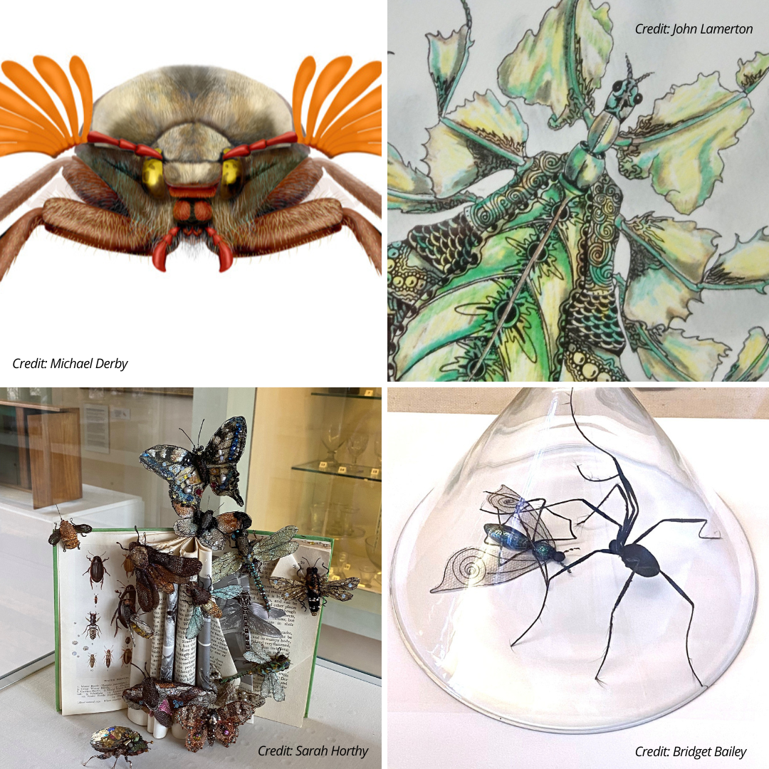 Insects and Culture - Royal Entomological Society