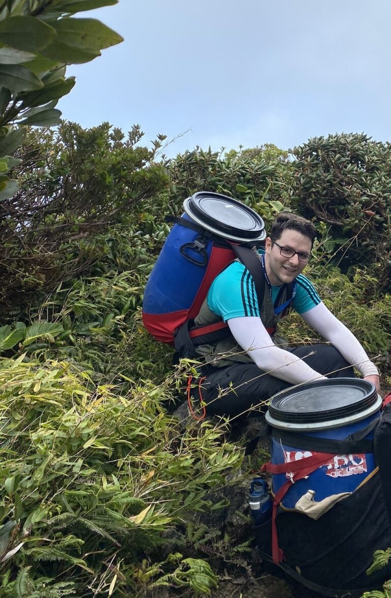 Do beetle families show a common pattern of taxon or phylogenetic ...