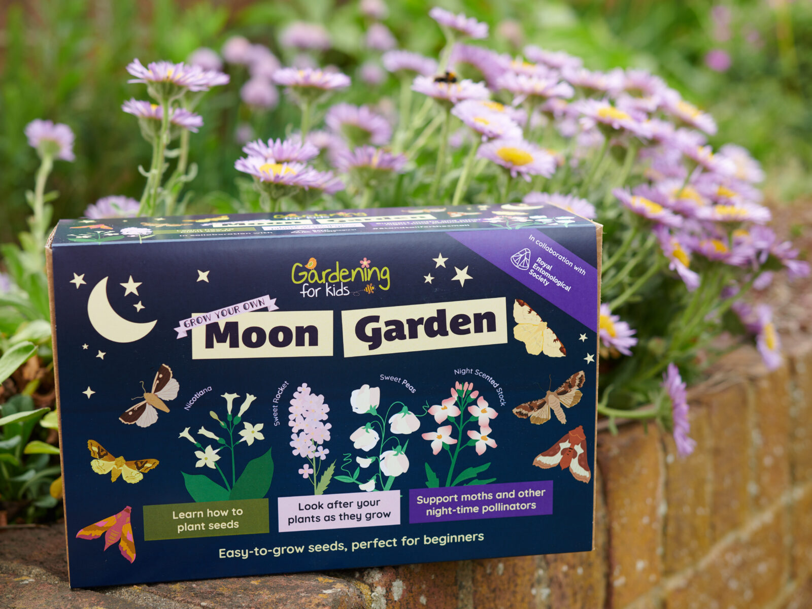 Moon Garden Growing Kit for Children - Royal Entomological Society